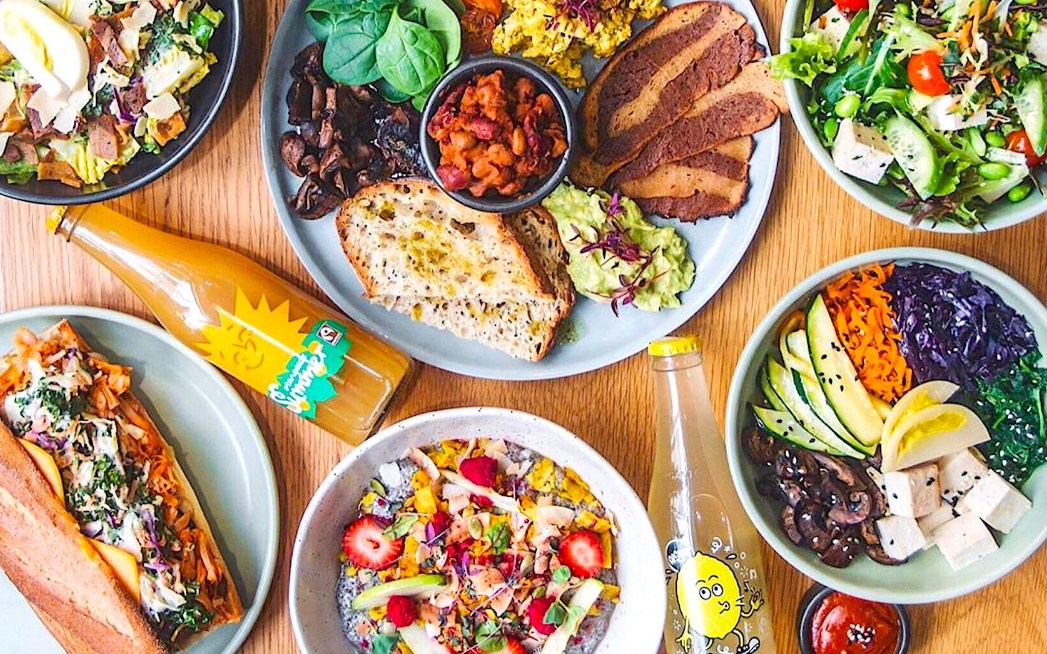 Must Visit - Vegan Cities Of The World